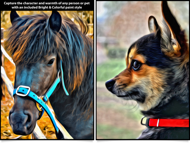 【iOS APP】Portrait Painter 肖像畫家 iPhone 版 – Dr.愛瘋 APP Navi