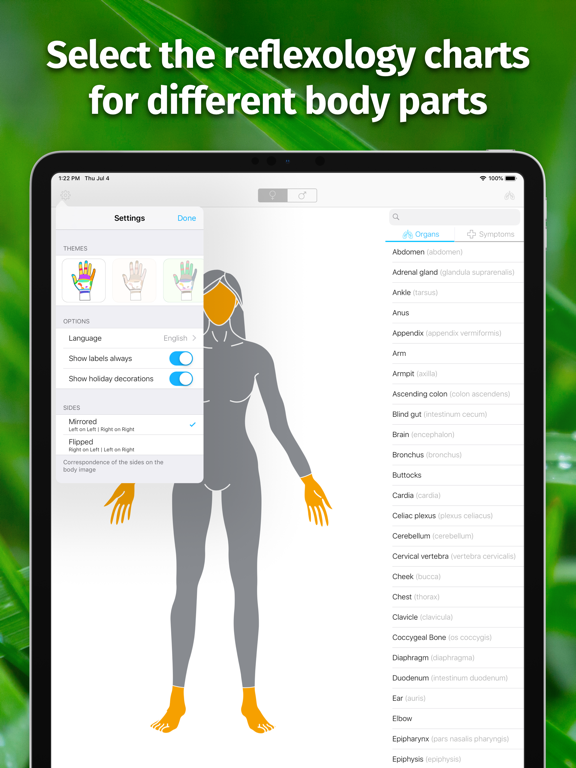 Massage Maps Screenshot