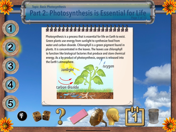 Interactive Photosynthesis by Ventura Educational Systems