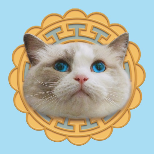 Mooncake the Ragdoll by Jonathan Paras