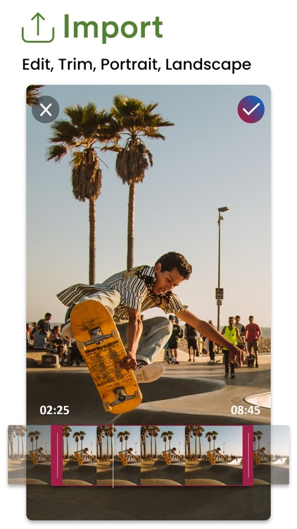 Vintage Camera - Film Filters by Plane Cubes