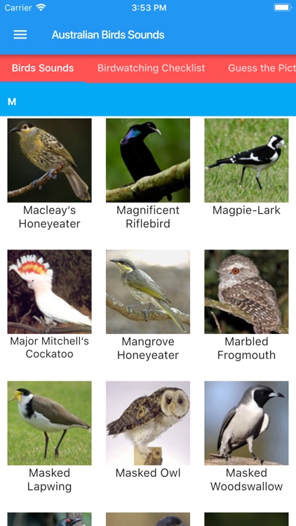 Australian Birds Sounds by Faisal Akhtar