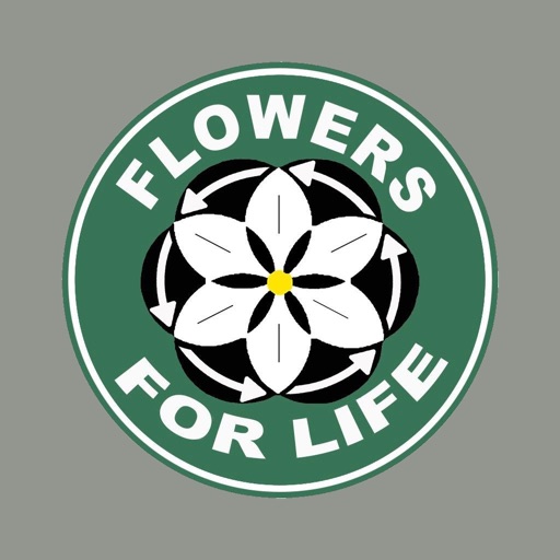 FlowerShops by Hunter Frantz