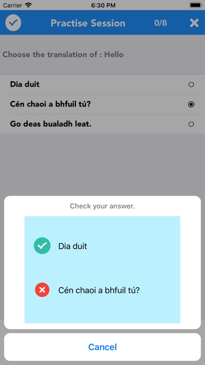 English to Irish Translator by SentientIT Software Solution