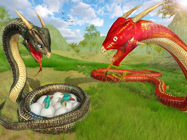 Green Anaconda Snake Attacking