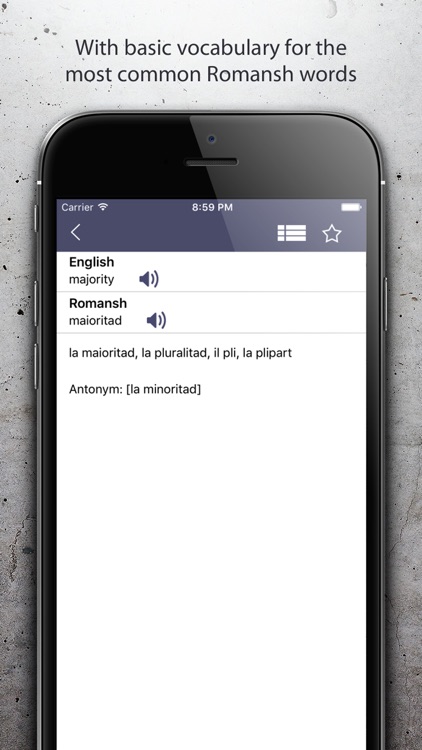 Dictionary Romansh English by Walter Degonda