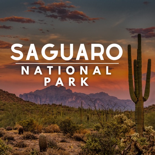 Saguaro National Park Guide By Cluminati Llc