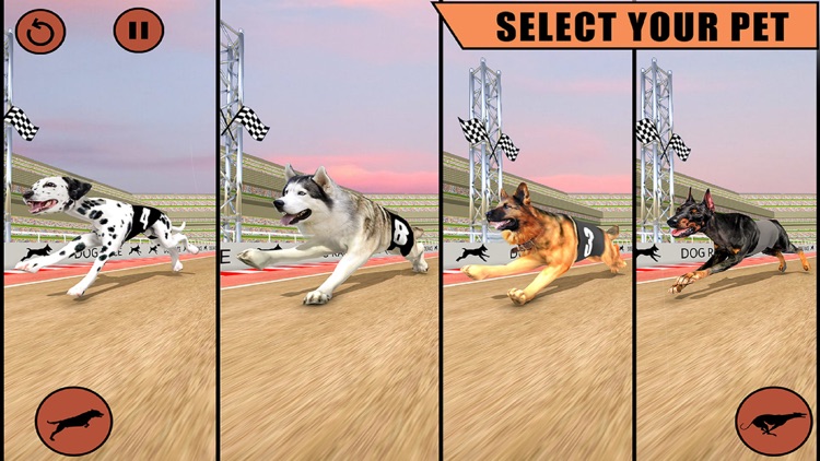 Dog Racing Game - Dog Games by Asad Ur Rehman