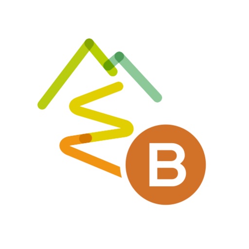 BAFANG GO+ by Bafang Electric (Suzhou) Co., Ltd.