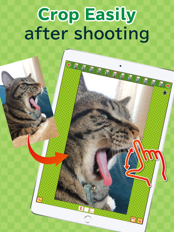 Télécharger toruneko (KittyCam) pour iPhone / iPad sur l'App Store ...