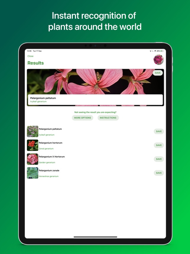 Flower Identifying App For Iphone | Best Flower Site