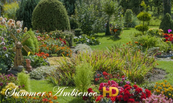 Summer Ambience HD for Apple TV by Edgeway Software