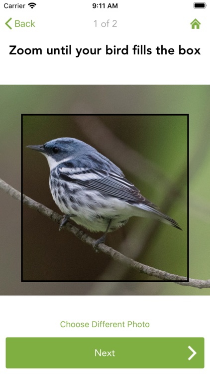 Merlin Bird ID by Cornell Lab by Cornell University