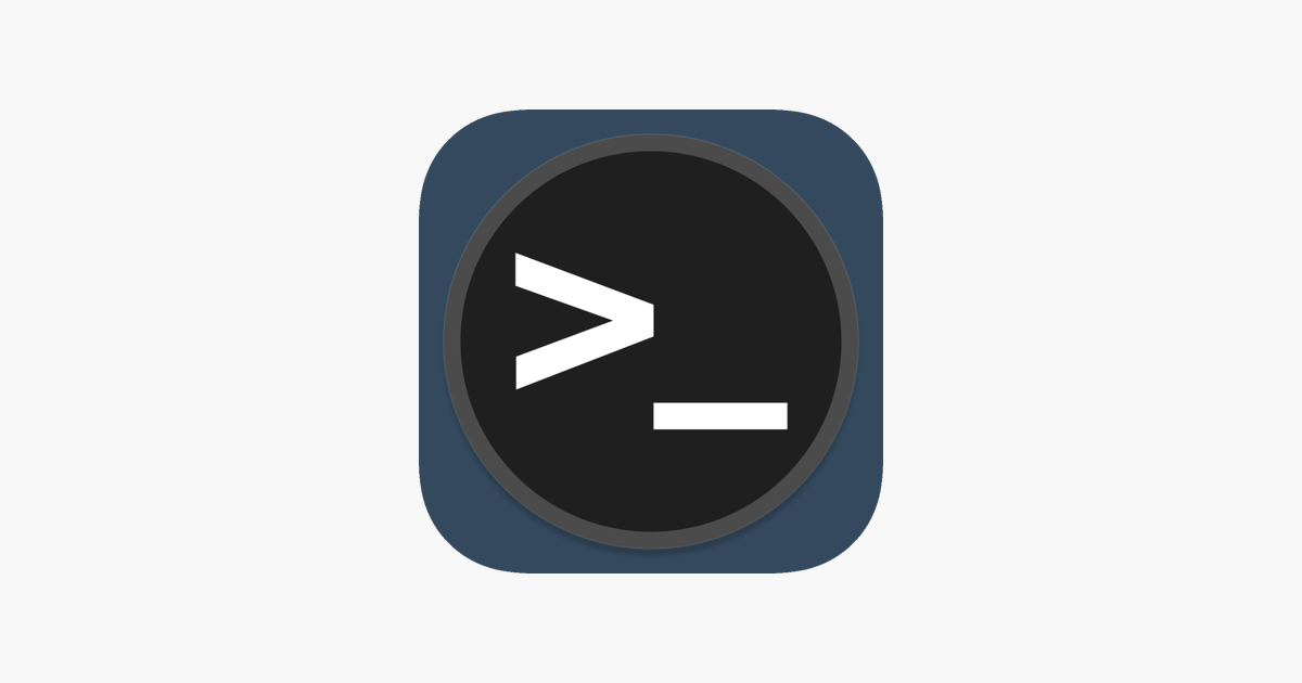 app Store에서 제공하는 Terminal Emulator Plus