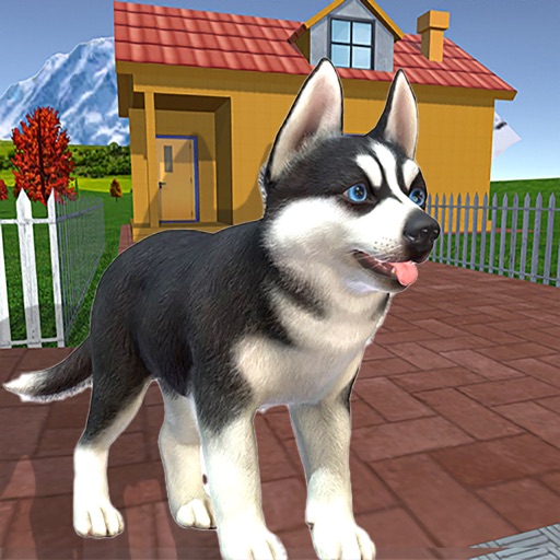 Virtual Puppy Dog Simulator by Muhammad Mudassir Manzoor