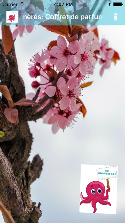 CE BIO VSM LAB by Sikiwis