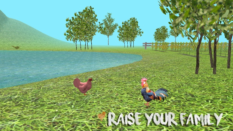 Rooster Simulator by Alperen Karagoz