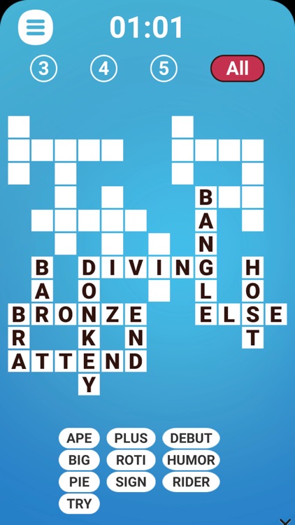 Word Fit Fill-Ins by Rottz Games