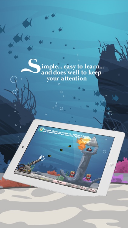 Turtle Cannon Bomb Toss Pro by NetSummit Enterprises, Inc.