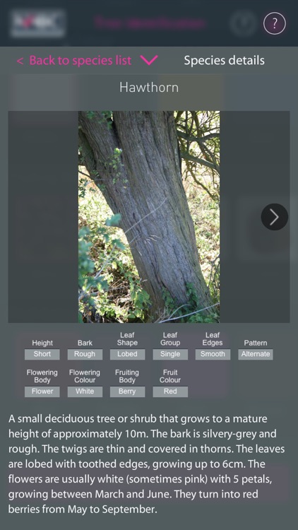 Foundation Depth Calculator + by NHBC