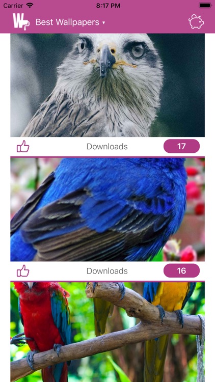 Wallpapers birds by KeyCode, LTD