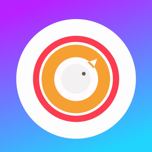 auroraPhoto by Ronna Kress