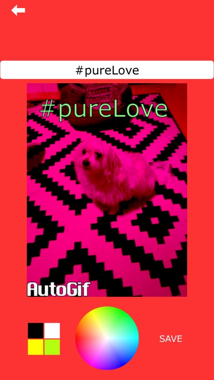 AutoGif - easy gif by Ran Engel