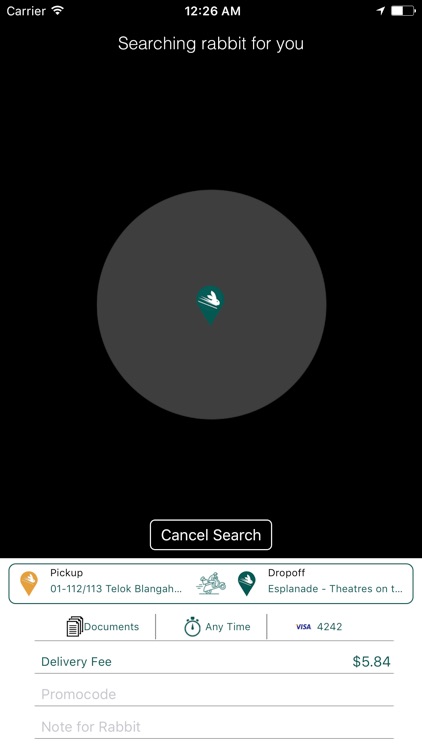 RaRa Delivery by Rapid Rabbits Pte Ltd