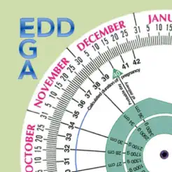 ‎OB Wheels on the App Store