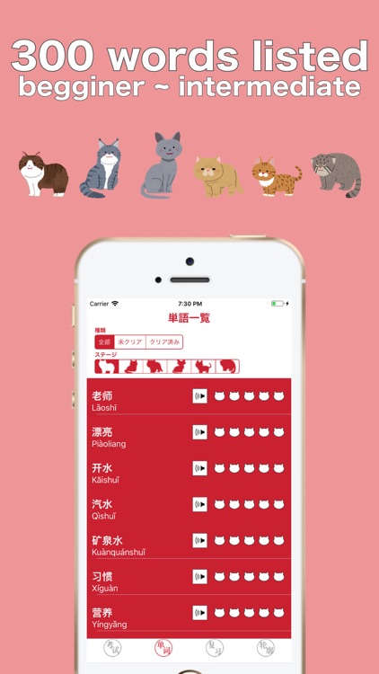 Learn Chinese with Cats meow by Shoichi Yamazaki