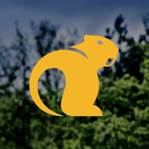 Bever Connect by Bever B.V.