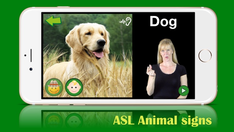 ASL Animals - Lite by INBAL Tal
