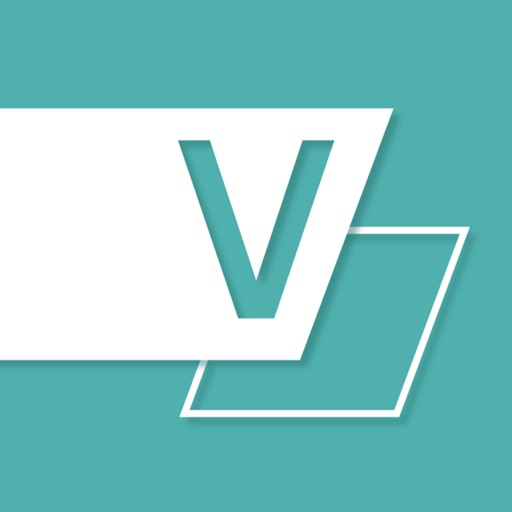 V/Art Projects by Trinity Square Video
