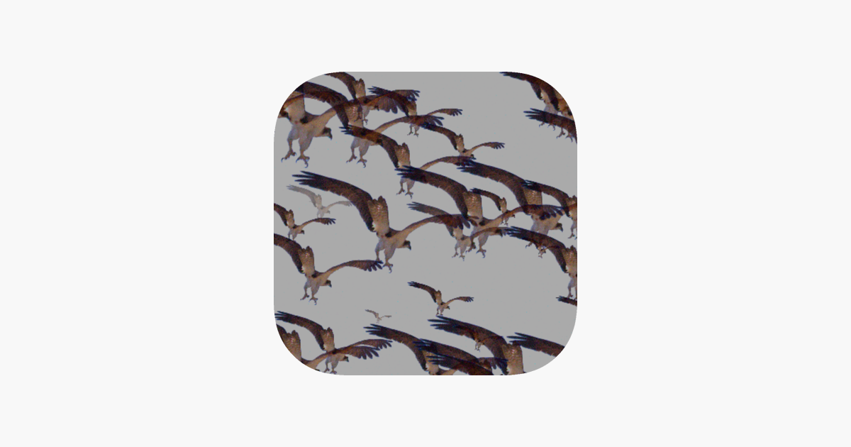 gesture Recognizer Fun On The App Store