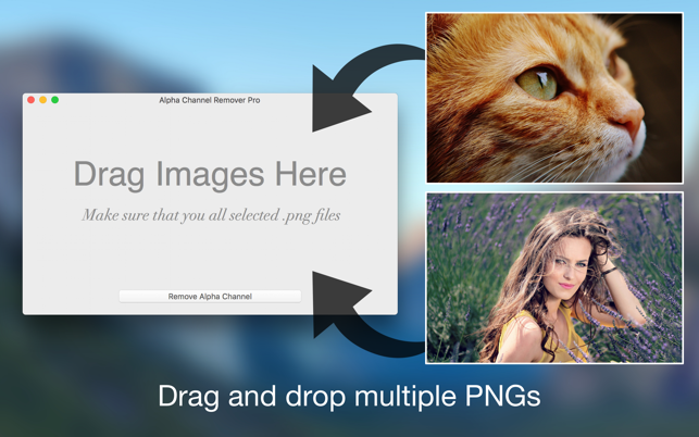‎Alpha Channel Remover Pro on the Mac App Store