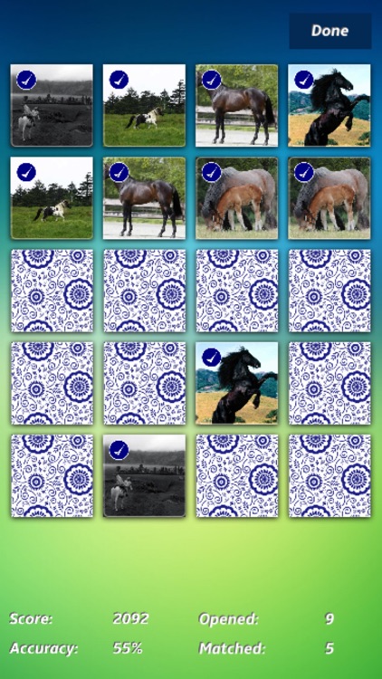 Horses Match Game by Dana Zarina