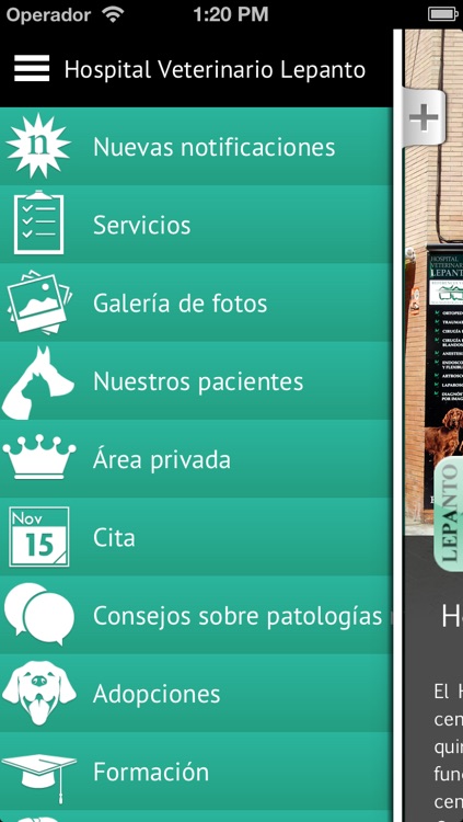 Hospital Veterinario Lepanto by Bluumi