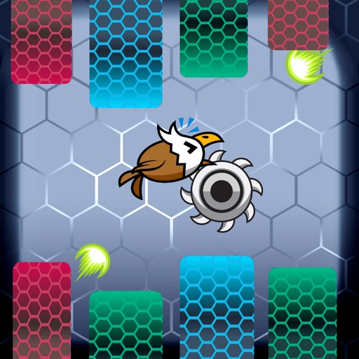 Flutter Frenzy: An Endless Journey through Mayhem by Sain-R Edwards Jr.