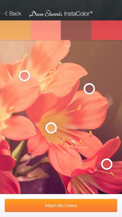 Dunn-Edwards InstaColor® by Dunn-Edwards