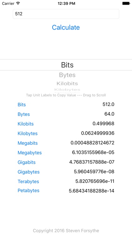 Bit Conversion by Steven Forsythe