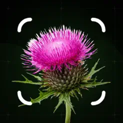 ‎Weed Identifier: Leaf Identify on the App Store