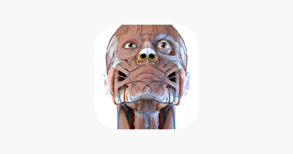 ‎Visual Anatomy 3D - Human Body on the App Store