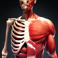 ‎Human Body Atlas: 3D Medical on the App Store