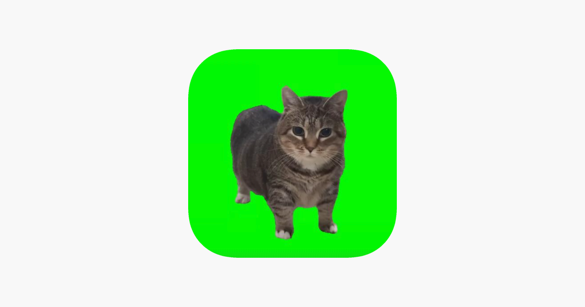 app Store 上的 Oiia Cat”