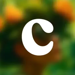 ‎App Store 上的“Charry - AI Friend Chat”