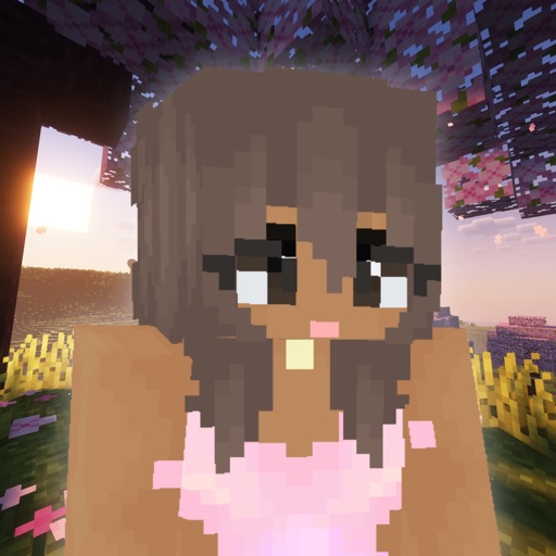 Custom Skin Creator HD by Blakzero Oy