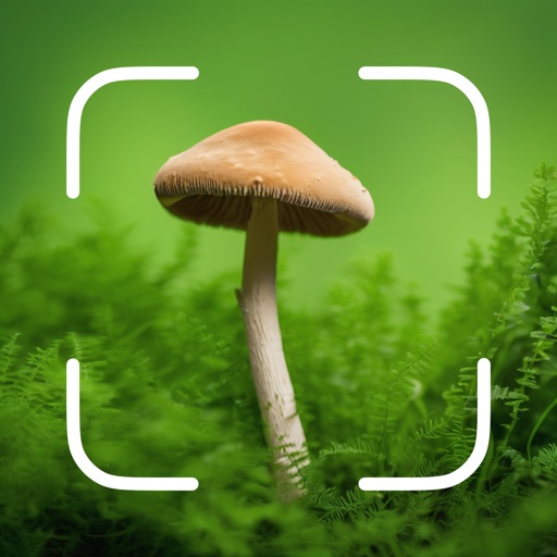 Fungi Identifier: Mushroom ID by Panikka Studio