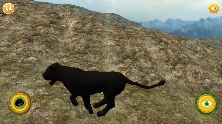 Real Black Panther Survival Animal Attack by Wavelength Laboratories, LLC