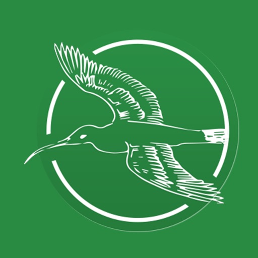 Cubert School by Green Schools Online