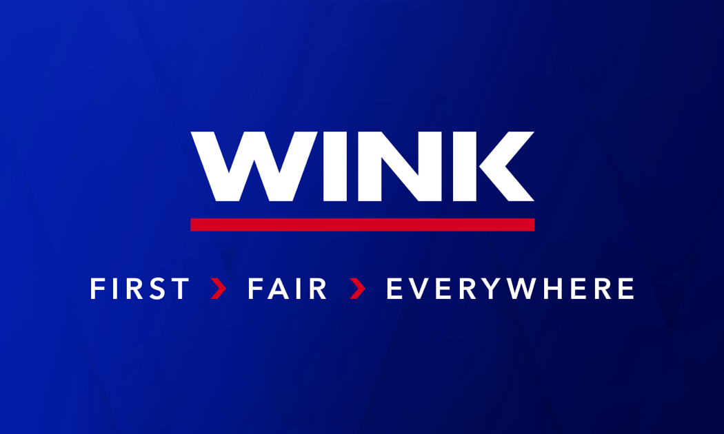 ‎WINK Now on the App Store